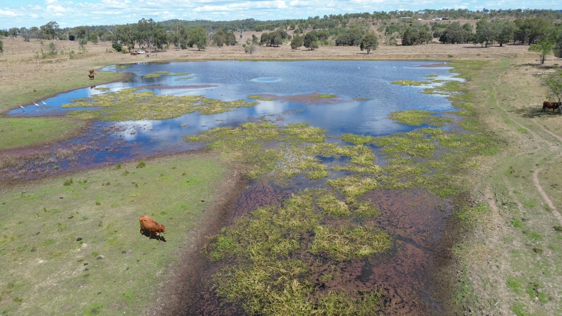 Salmon Road, Garnant - TopX Australia