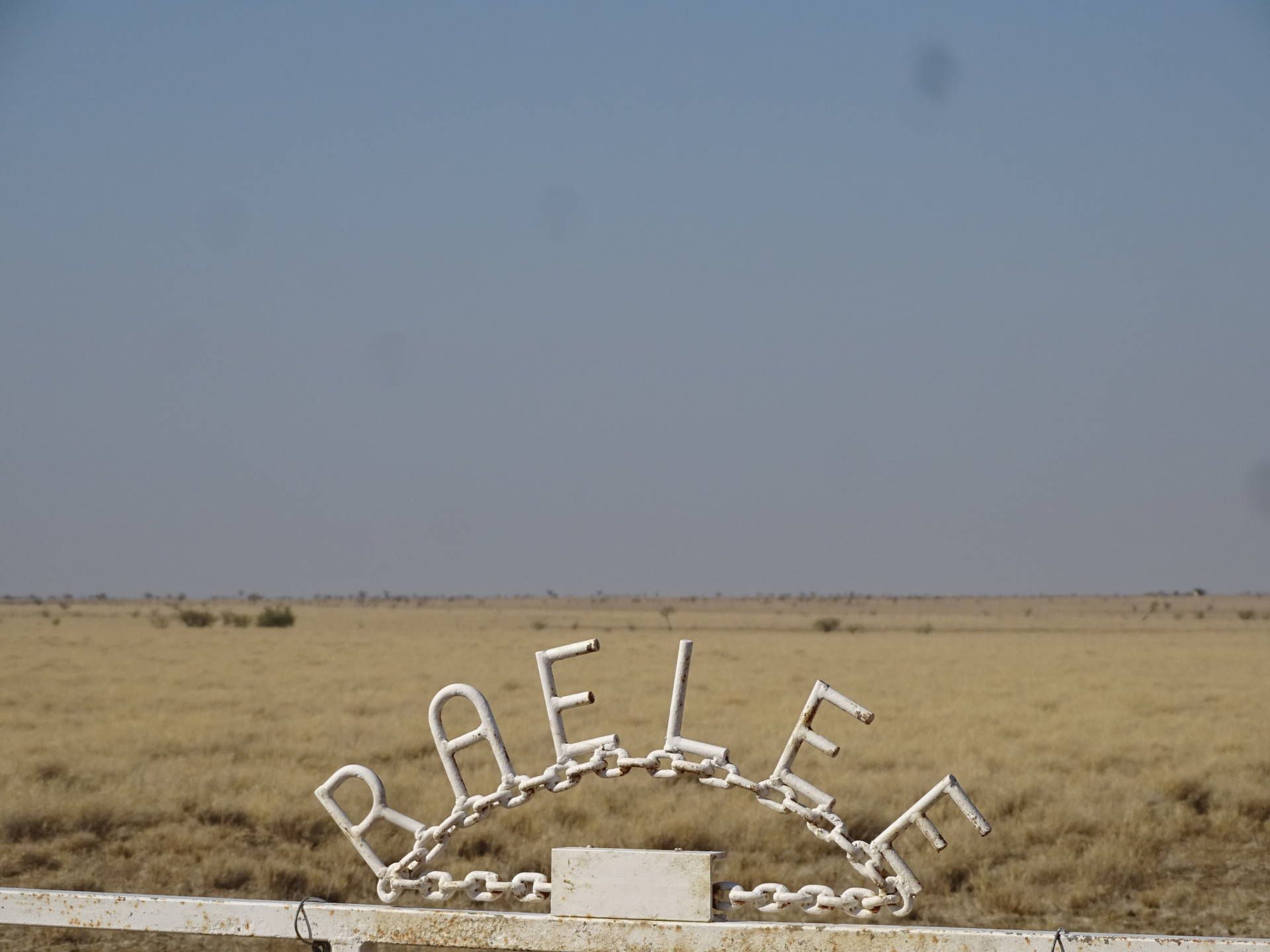 RAELEE DOWNS - CORFIELD - TopX Australia