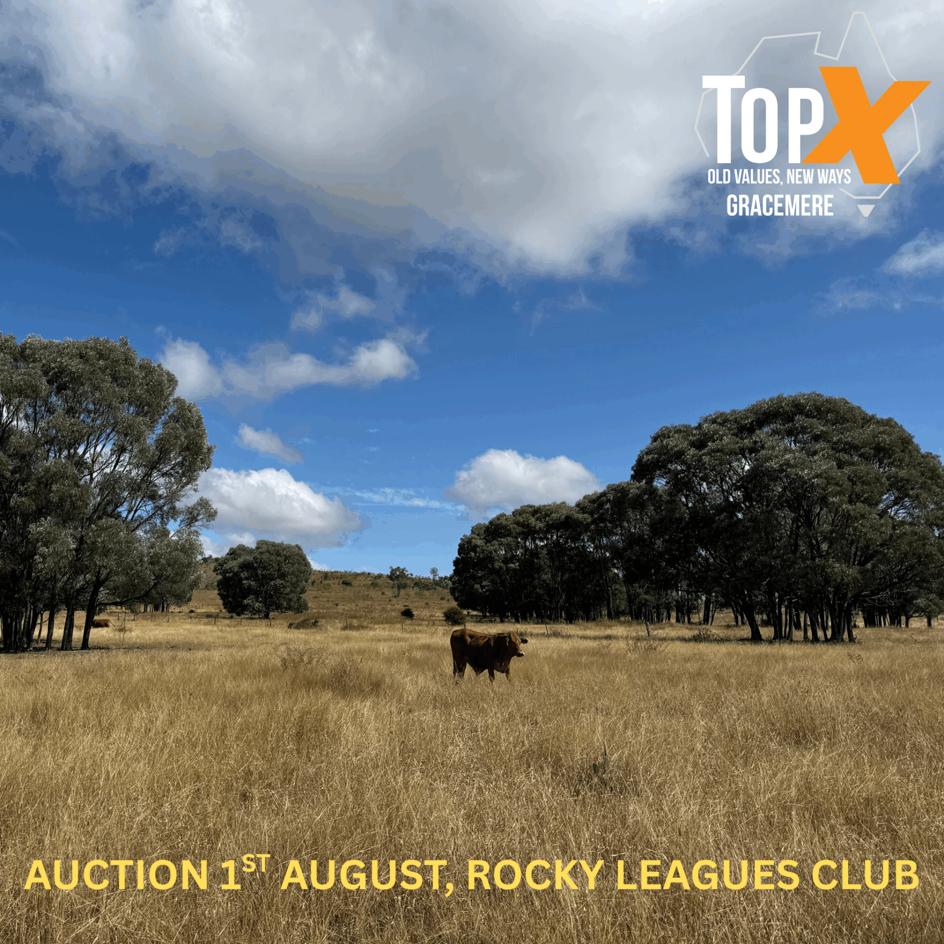 381 Acres - Blanche Rd Garnant - TopX Australia